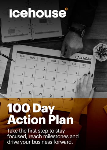 the-icehouse-100-day-action-plan-template